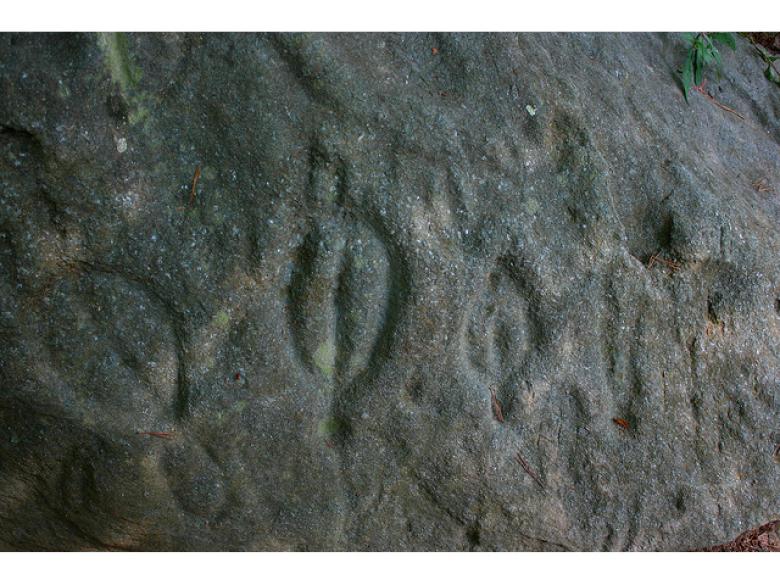 TrackRock Archaeological Area-CNF | Official Georgia Tourism & Travel ...