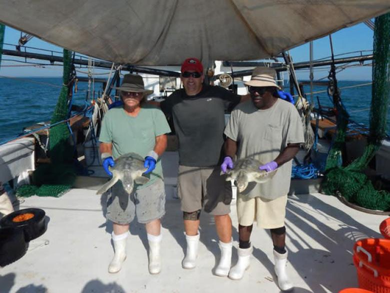 UGA Marine Education Center & Aquarium | Explore Georgia