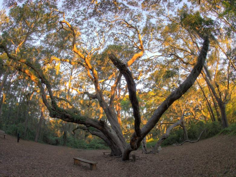 Cannon's Point Preserve | Official Georgia Tourism & Travel Website ...