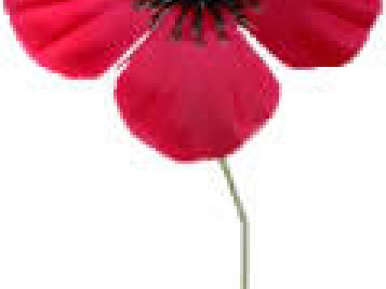 Birthplace of The Poppy Lady, Moina Michael | Official Georgia Tourism ...