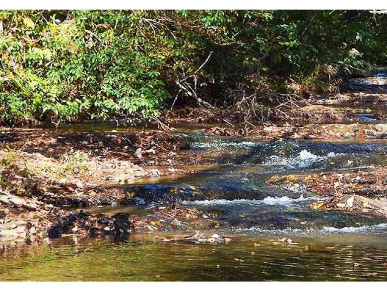 Wilson Shoals Wildlife Management Area | Official Georgia Tourism ...