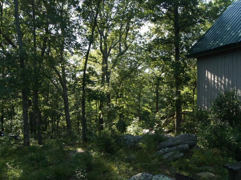 Buzzard's Roost Cottage | Official Georgia Tourism & Travel Website ...