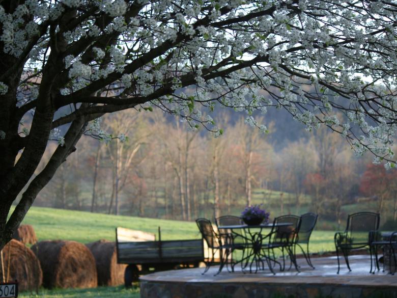 The Red Barn Cafe At Tiger Mountain Vineyards | Explore Georgia