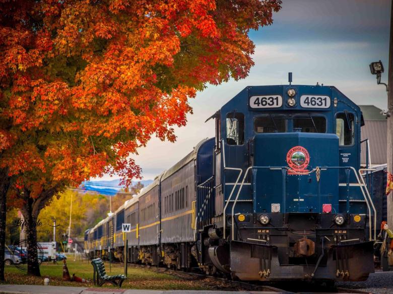 Blue Ridge Scenic Railway | Explore Georgia