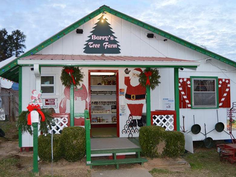 Berry's Tree Farm | Explore Georgia