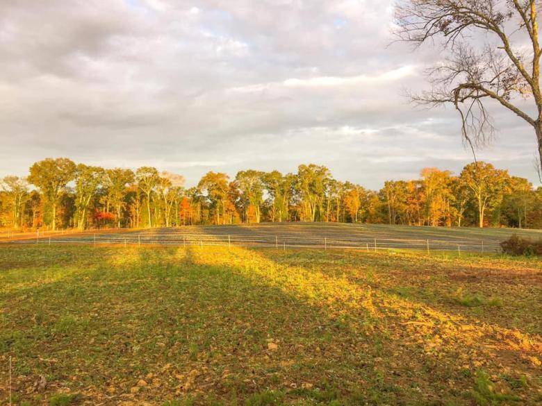 Lazy Creek Farms | Explore Georgia