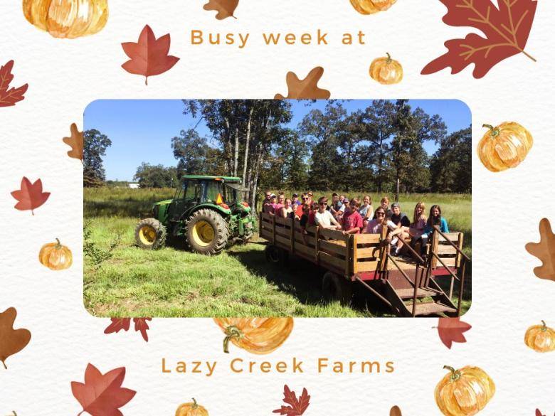 Lazy Creek Farms | Official Georgia Tourism & Travel Website ...