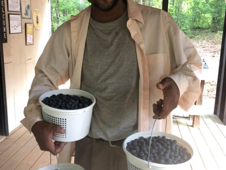 Beak and Berry Farm | Official Georgia Tourism & Travel Website ...