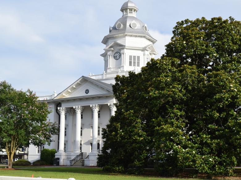 Landmark Magnolia Tree | Official Georgia Tourism & Travel Website ...