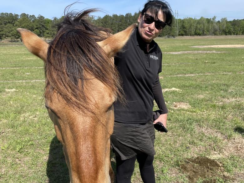 Wild Mustang Ranch | Official Georgia Tourism & Travel Website ...