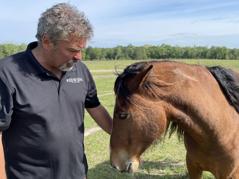 Wild Mustang Ranch | Official Georgia Tourism & Travel Website ...