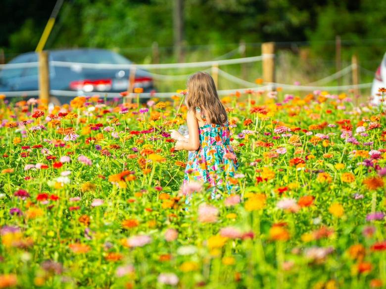Big Hart Farm | Explore Georgia