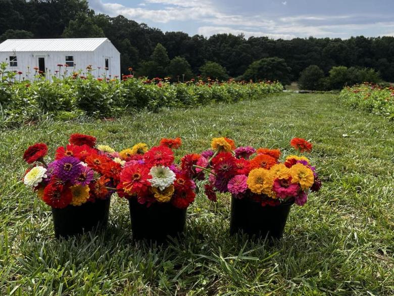 Big Hart Farm | Explore Georgia