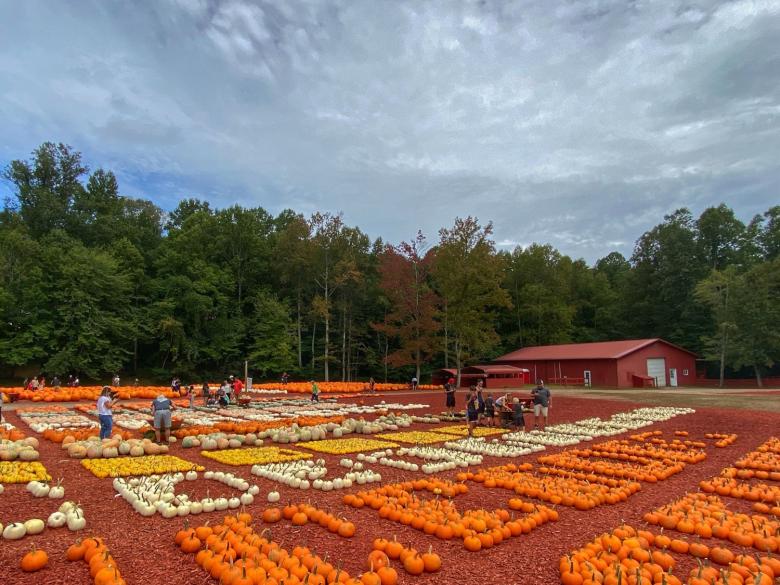 Burt's Farm | Official Georgia Tourism & Travel Website | Explore ...