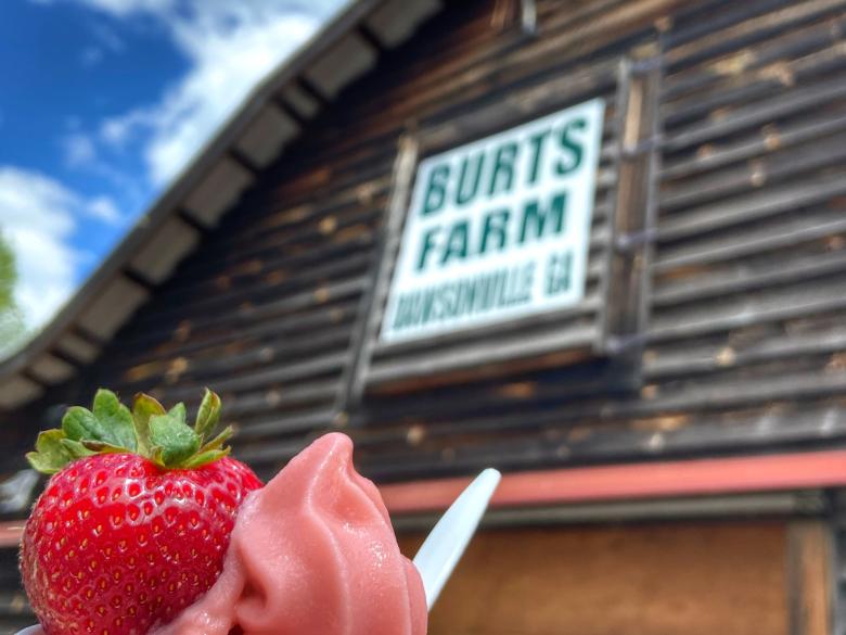 Burt's Farm | Official Georgia Tourism & Travel Website | Explore ...