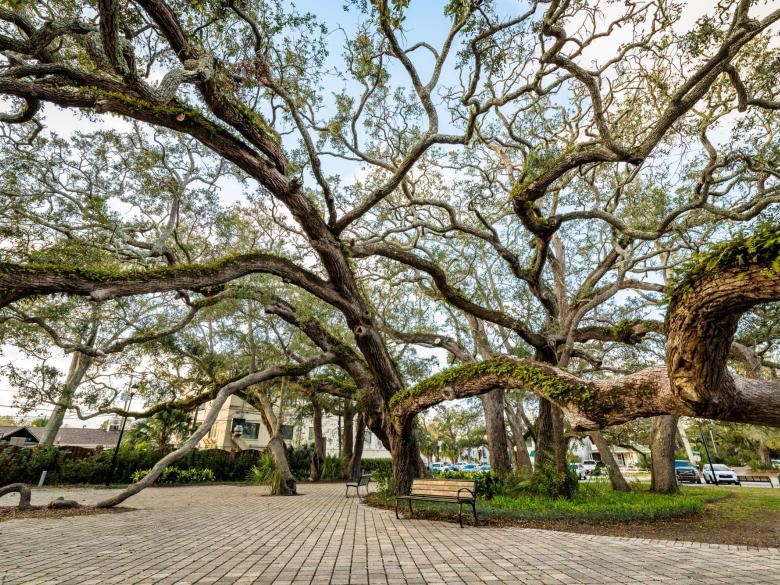 Postell Park | Official Georgia Tourism & Travel Website | Explore ...