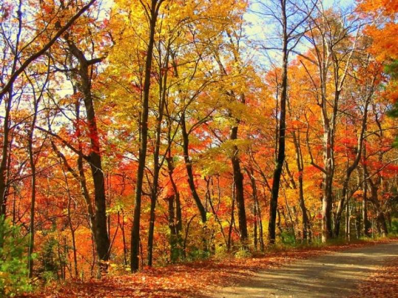 Cabin in the Clouds - Aska Mountain Cabins | Official Georgia Tourism ...