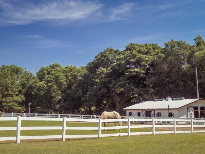 Legacy Lane Stables | Explore Georgia
