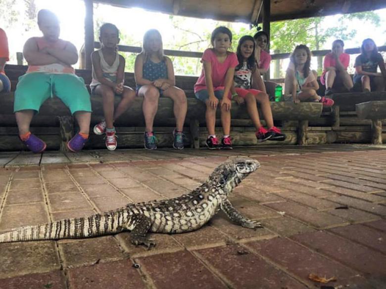 Chehaw Park | Explore Georgia