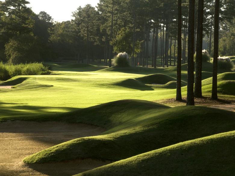 Cobblestone Golf Club | Explore Georgia