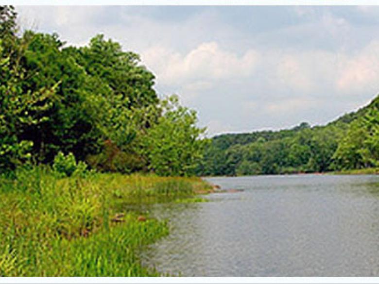 Cuthbert | Explore Georgia