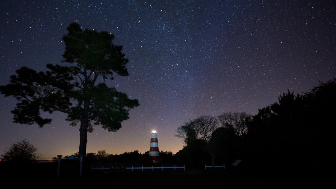 Iconic Georgia | Official Georgia Tourism & Travel Website | Explore ...