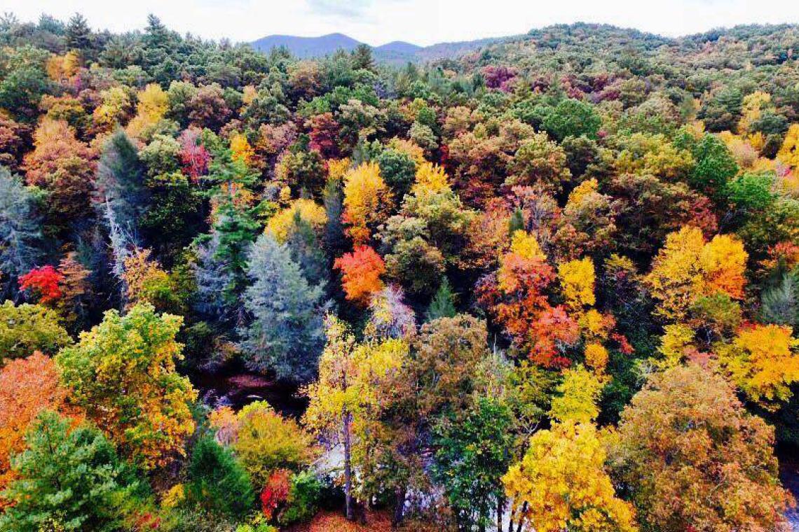 Georgia Fall Bucket List | Official Georgia Tourism & Travel Website ...