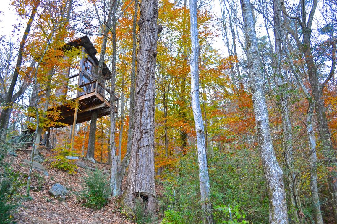 11 Glamping Getaways You Have to See to Believe | Official Georgia ...