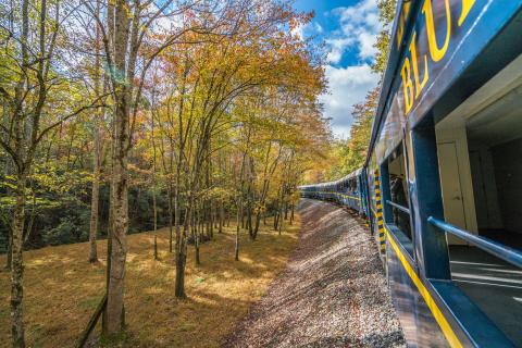 All Aboard These 9 Top Georgia Train Rides