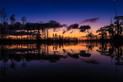 5 Amazing Screen-Free Getaways in Georgia | Explore Georgia