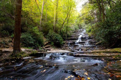 Free Explore Georgia Virtual Backgrounds for Zoom | Official Georgia ...