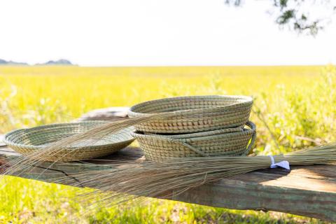 Uncover Gullah Geechee Heritage on Sapelo Island | Official Georgia ...