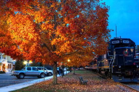 Top Fall Activities in Georgia | Explore Georgia